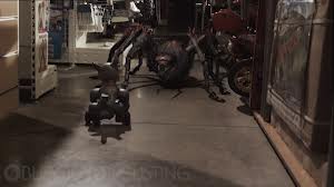 Spiders 3D (2013) Review | Love Horror film reviews and news