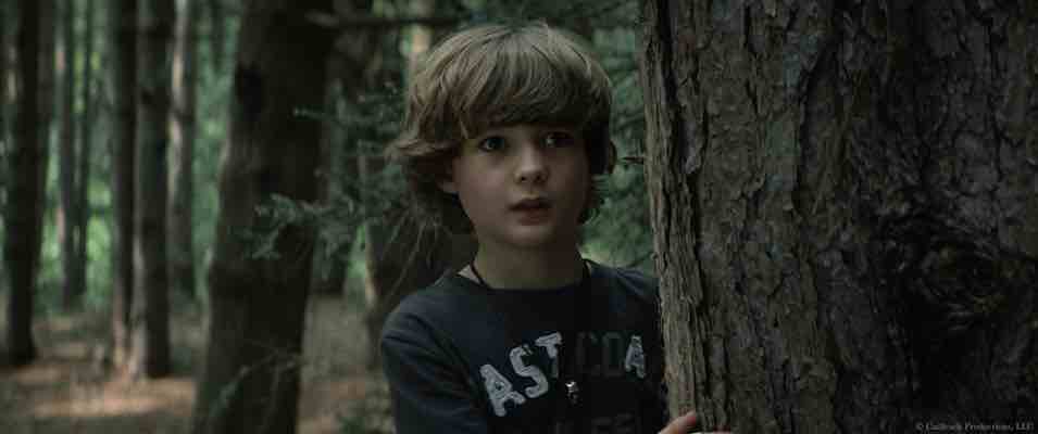 The Wretched (2020) Review | Love Horror film reviews and news