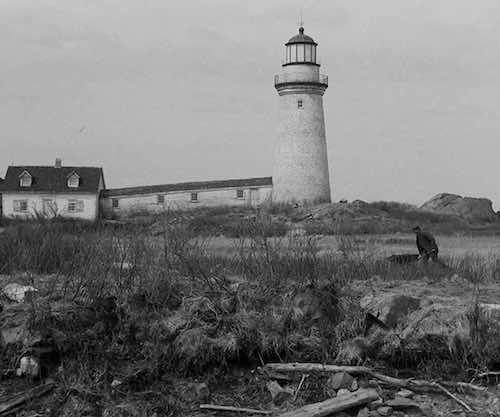 The Lighthouse (2019) Review | Love Horror film reviews and news