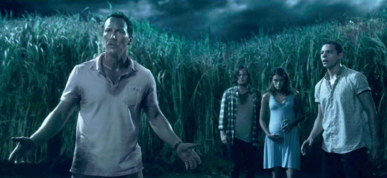 In the Tall Grass (2019) Review | Love Horror film reviews and news