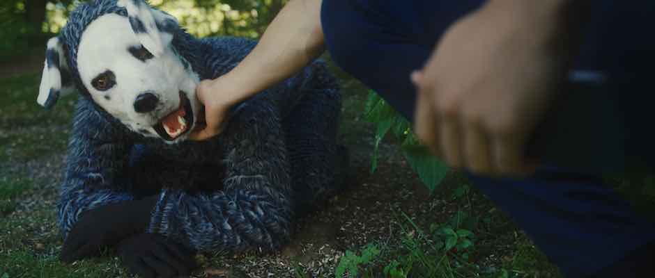 Good Boy (2022) Review | Love Horror film reviews and news