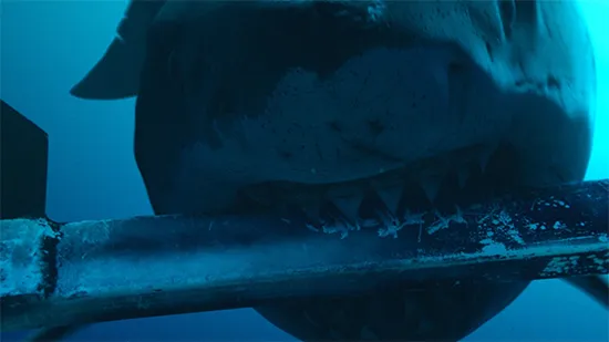 Sink Your Teeth Into These Shark Movies on Netflix Right Now | Love ...