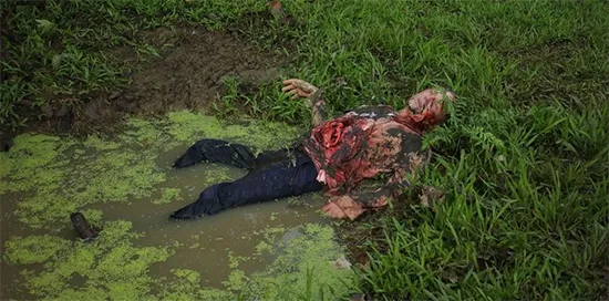 ‘Gator Creek’ Brings Alligator Mayhem | Love Horror film reviews and news