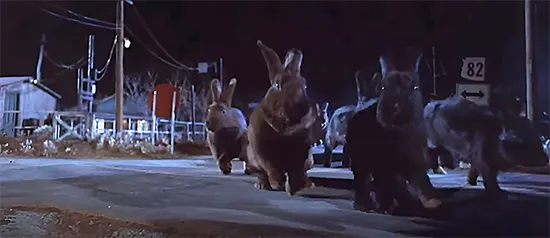 Five Horror Movies with Killer Rabbits and Creepy Easter Vibes | Love ...