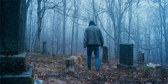 ‘Good Boy’ Delivers Dog’s-Eye Horror in UK Cinemas This October | Love ...