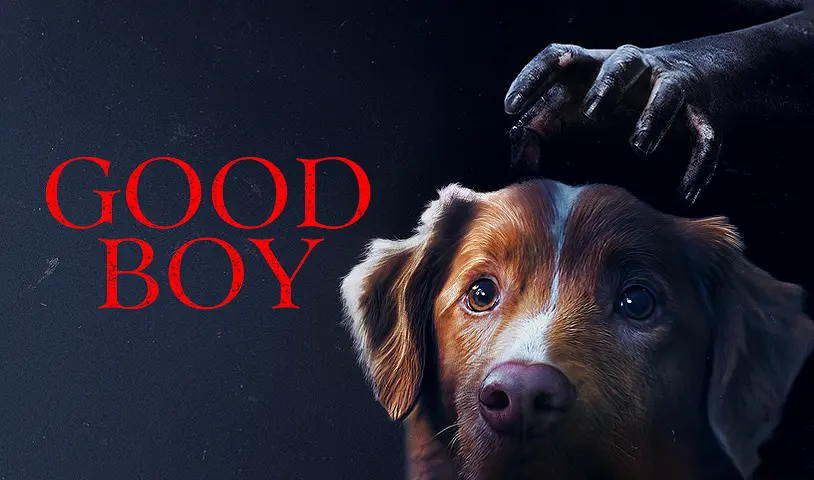 Primate (2025) Review | Love Horror film reviews and news